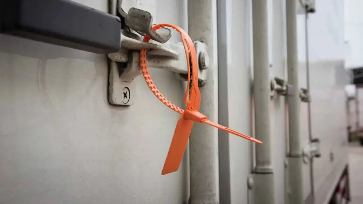 ¿Qué es un precinto y para qué sirve? | Mediodía